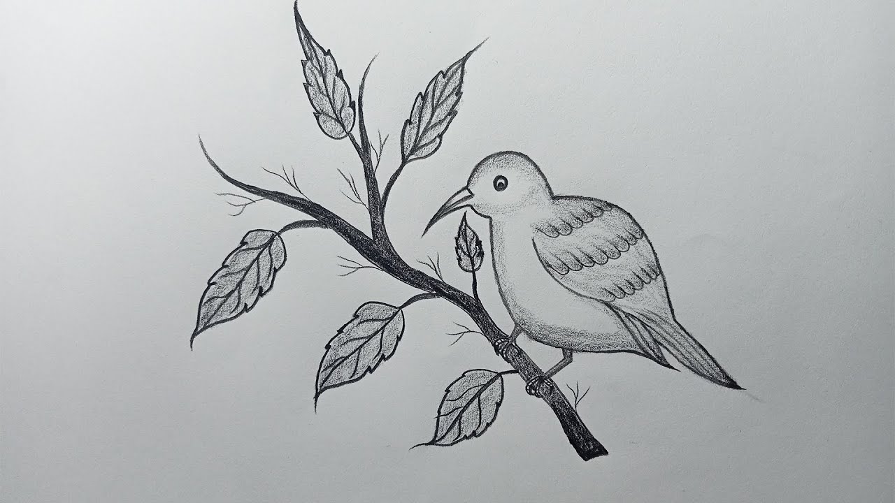 How to Draw Bird on a Tree || Freedom Bird Drawing for Beginners || How ...
