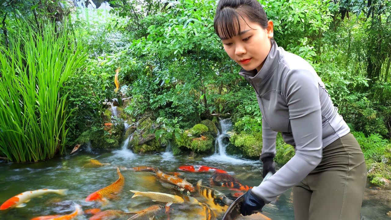Village Girl’s Ancient Fishing Techniques | Catching Giant Fish Hiding ...
