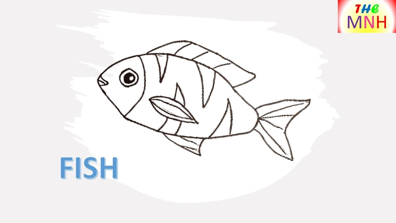 HOW TO DRAW FISH FOR KIDS EASY STEP BY STEP - YouTube