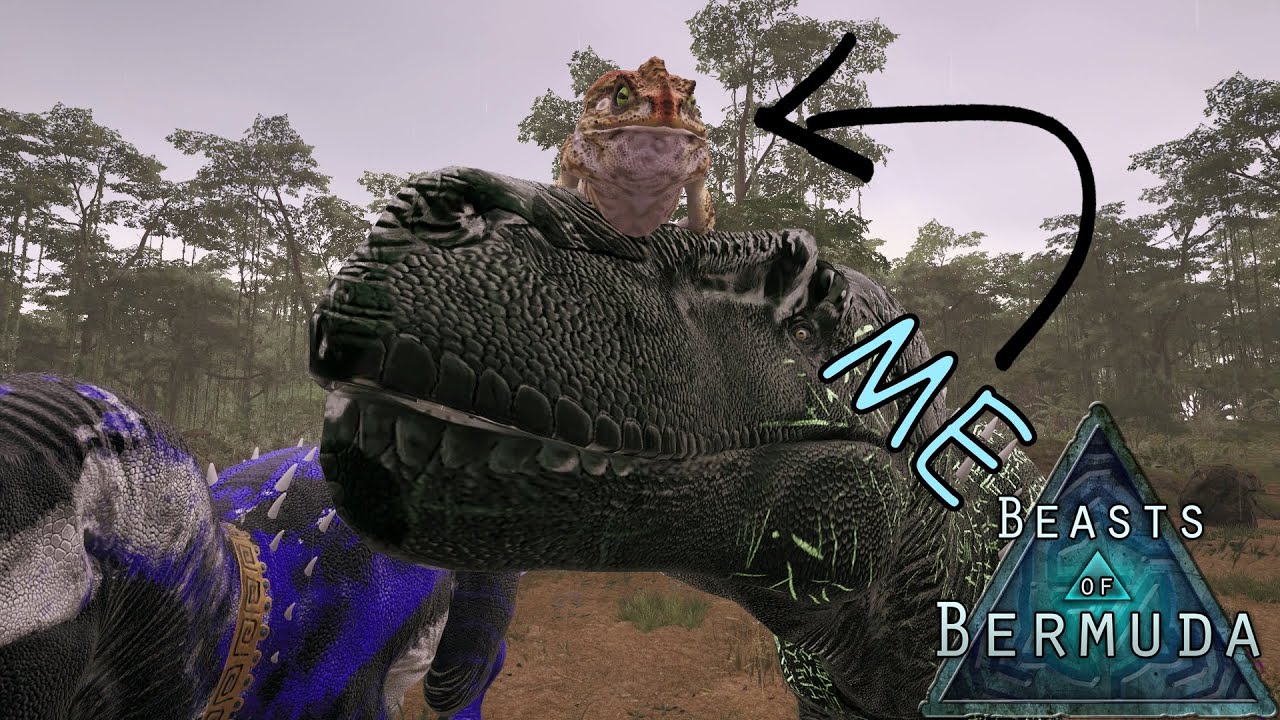 The life of an actual frog surrounded by dinosaurs (Beasts of Bermuda ...