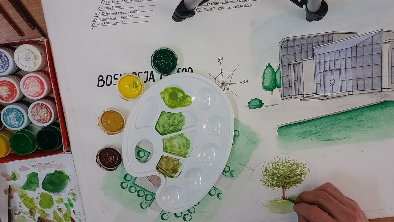 Как нарисовать деревья. Daraxt chizish. Дерево Акварель краска. Drawing ...