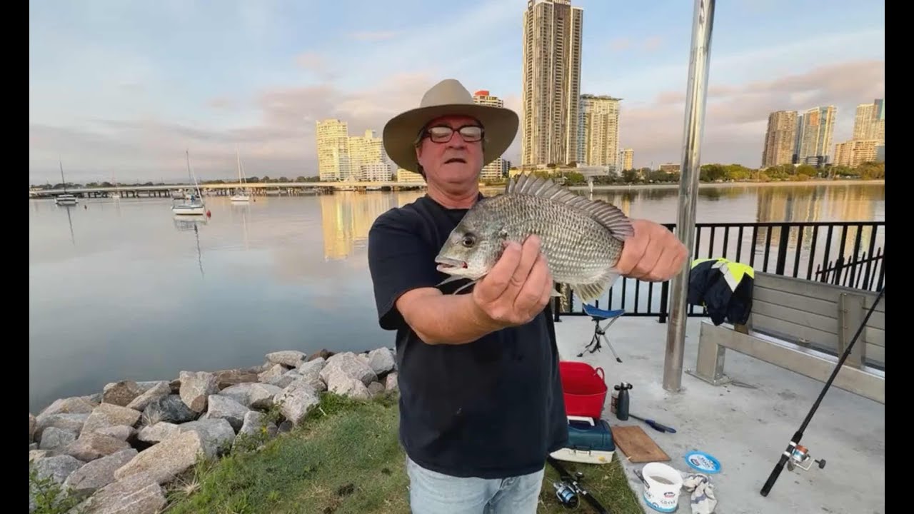 Fishing live stream Gold Coast Saturday - YouTube