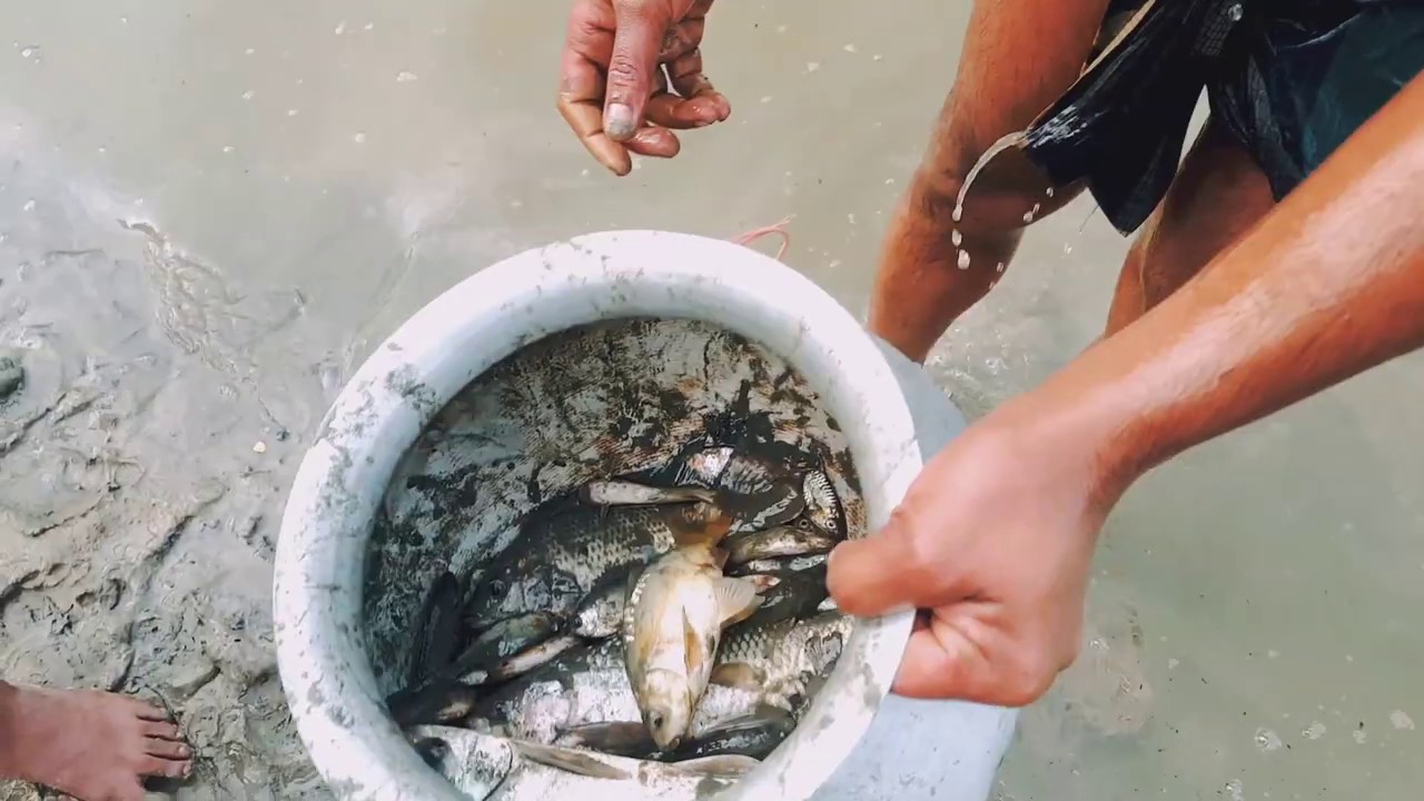 Most Unbelievable Hand Cast Fishing | (PART 03) #UniQueFishing ...