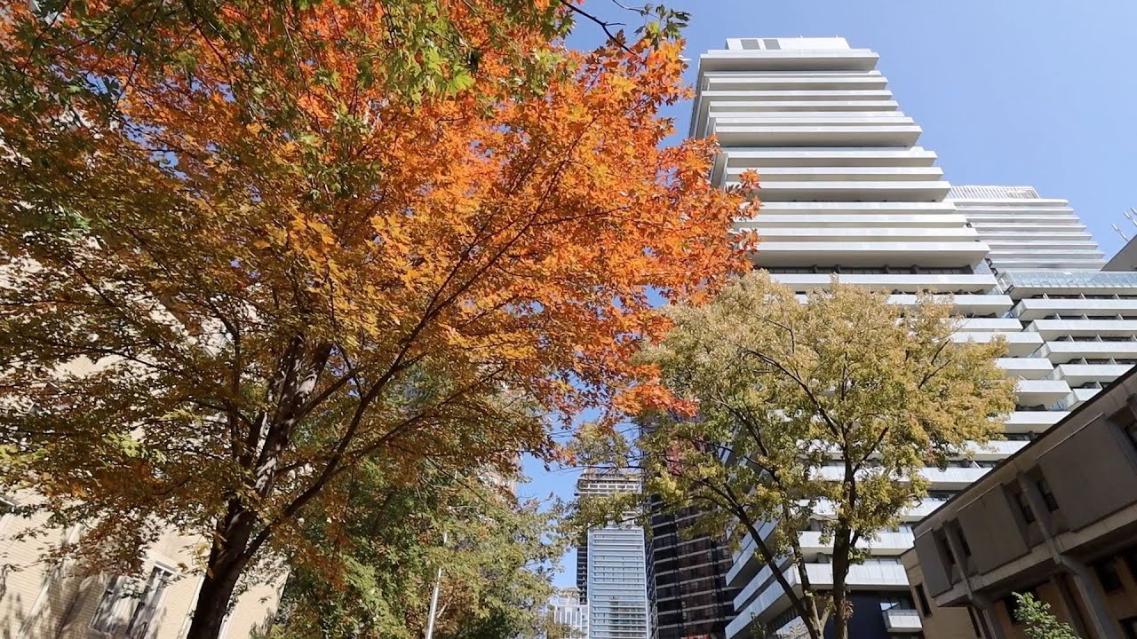 57 St Joseph St 1008 in Downtown Toronto - YouTube