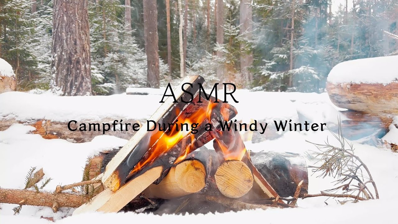 ☃️🔥Campfire During a Windy Winter🔥 4K (1HOURS) - YouTube