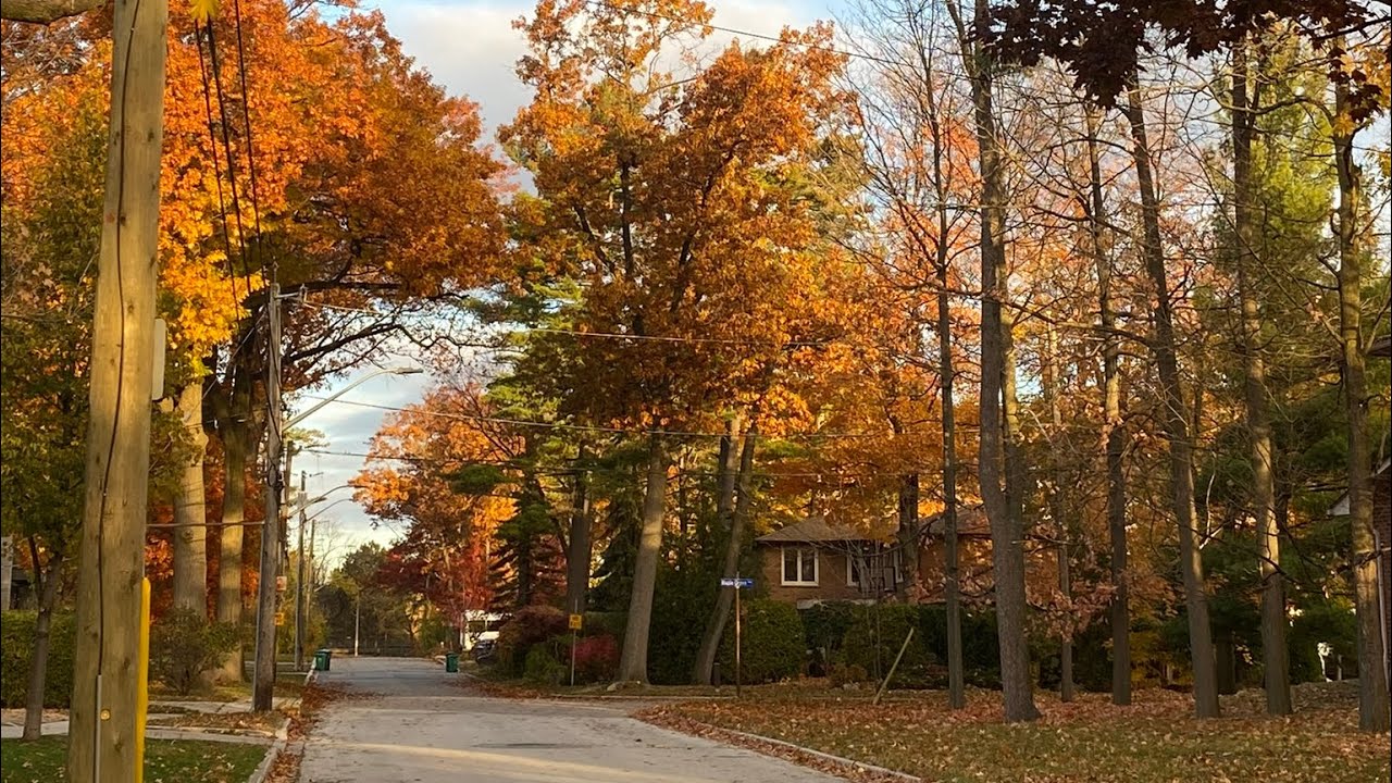 Makulay ang Paglalagas ng Canada! @YKulba @YKulbabes - YouTube