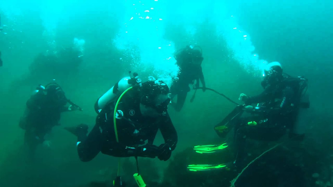 스쿠버다이빙(Scuba Diving) - 알스타즈스쿠버클럽 강원도 고성 OK다이브리조트 9월13~14일 국내투어 중 - YouTube