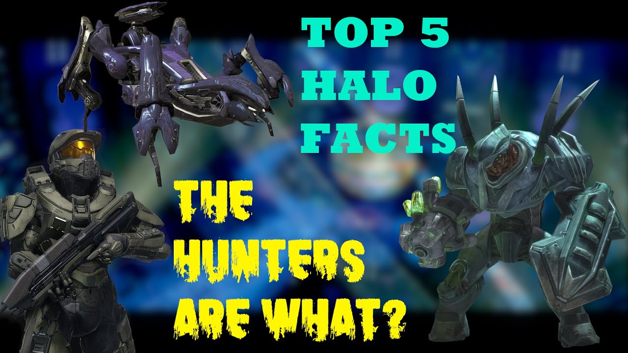TOP 5 MOST INTERESTING HALO FACTS! - Top 5 - YouTube