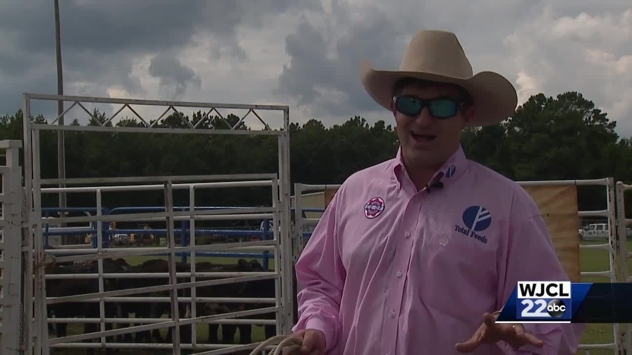 The inaugural Rincon rodeo underway - YouTube