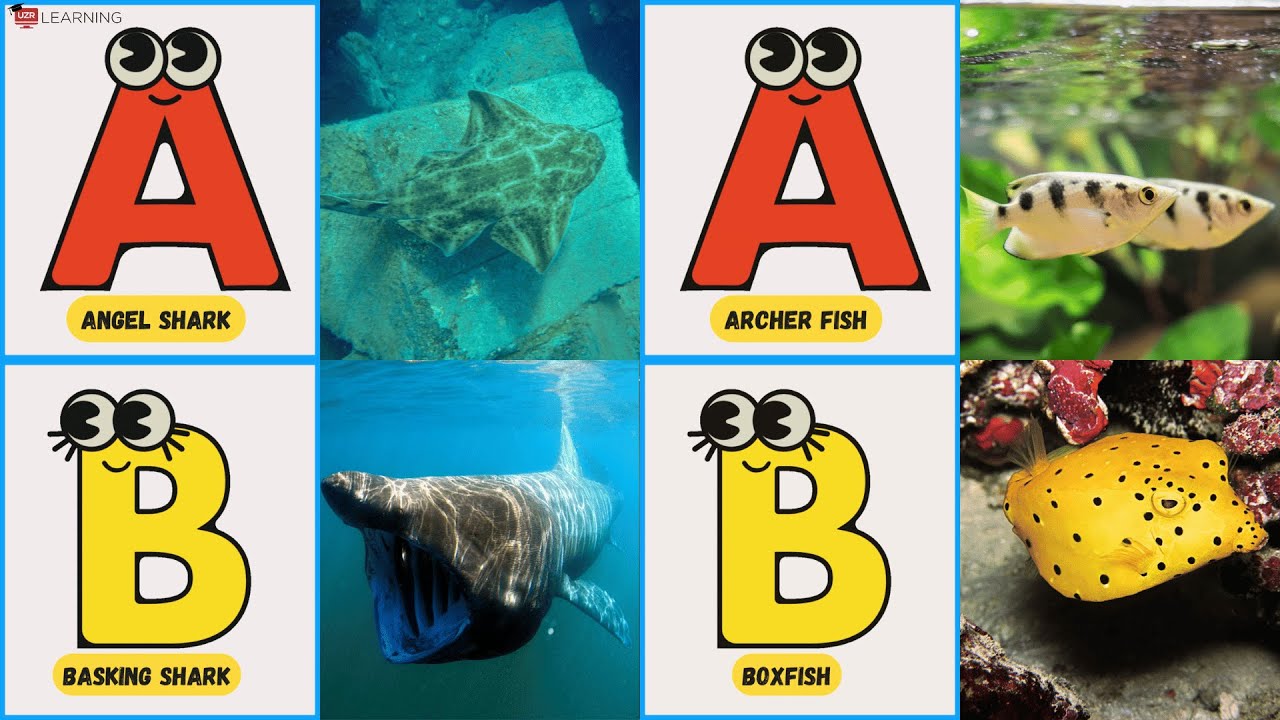 🌊 Ocean ABCs | Sea Animals Alphabet Song for Kids 🐠🐬 | UZR Learning # ...