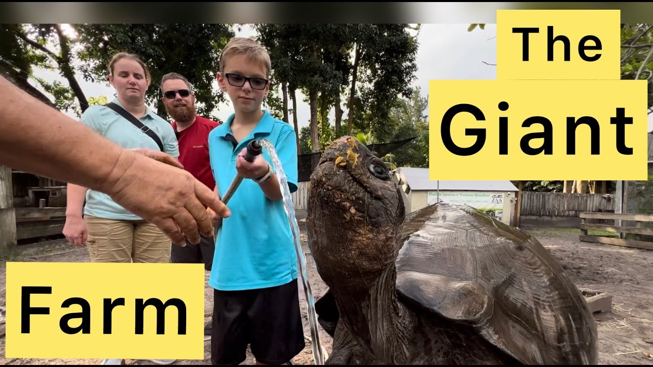 Giant Tortoises farm visit, what did the Matthew Family find? Filmed up ...