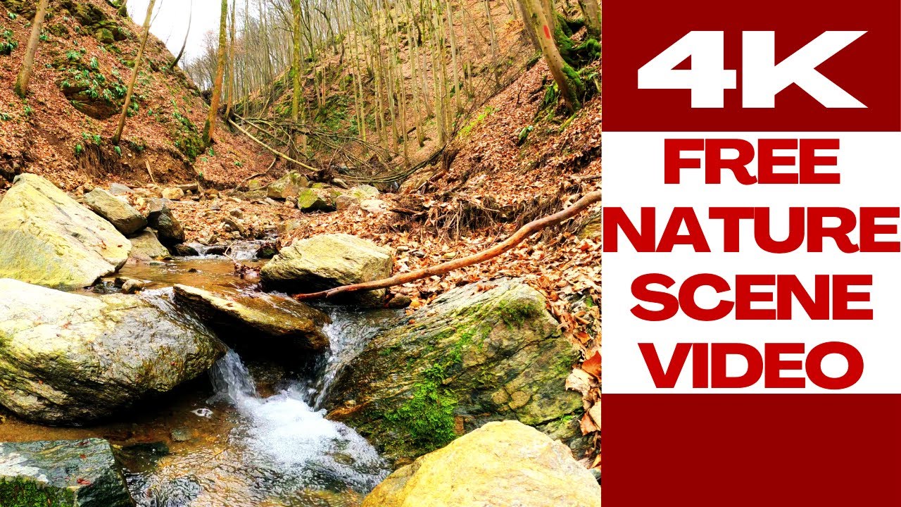 nature 4K 382 👉 Nature Scene Video - YouTube