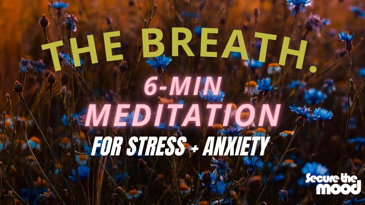 6-Min Meditation | 4-7-8 Breathwork for Stress and Anxiety - YouTube