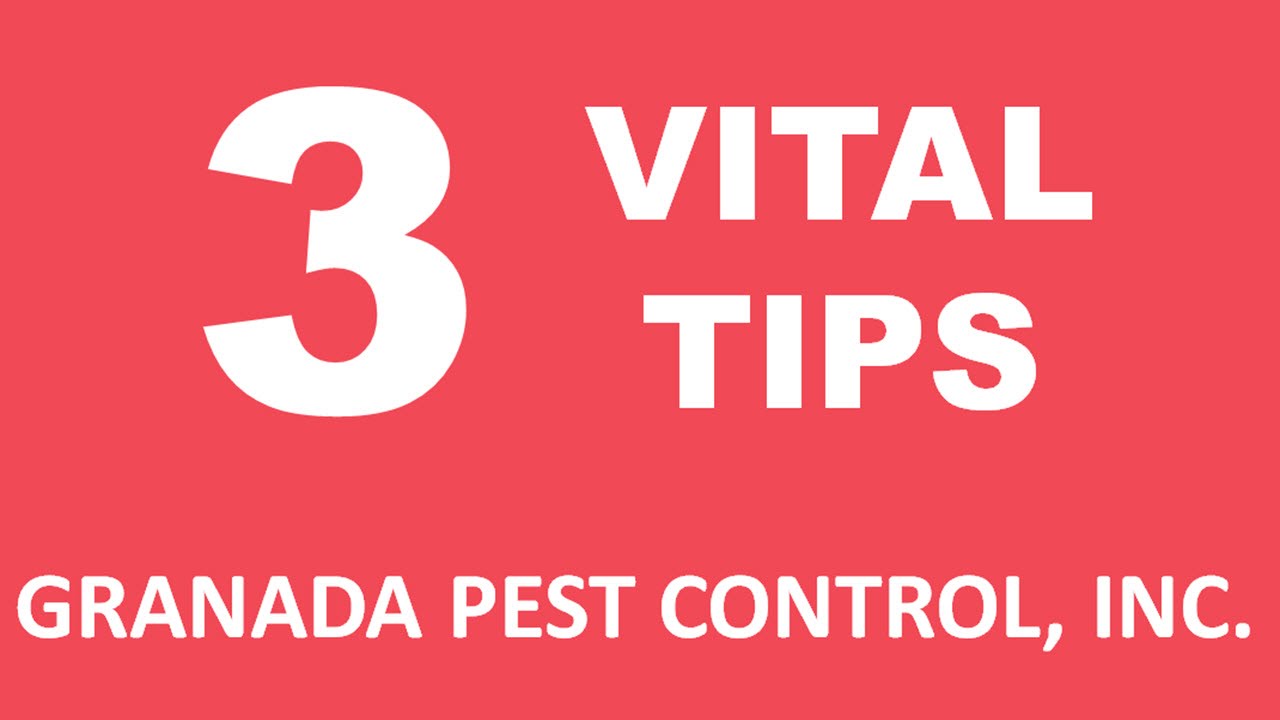 BEST PEST CONTROL SUN CITY GRAND | 623-878-6929 - YouTube
