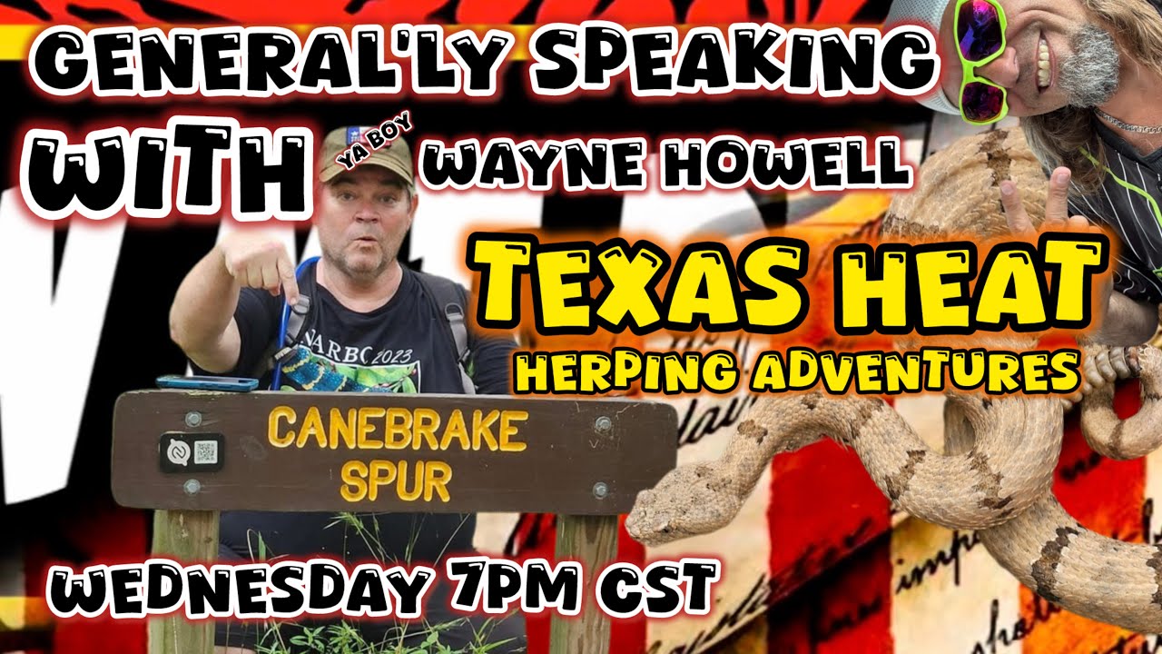 General’LY Speaking: Texas Heat & Coldblooded Tales With Wayne Howell ...