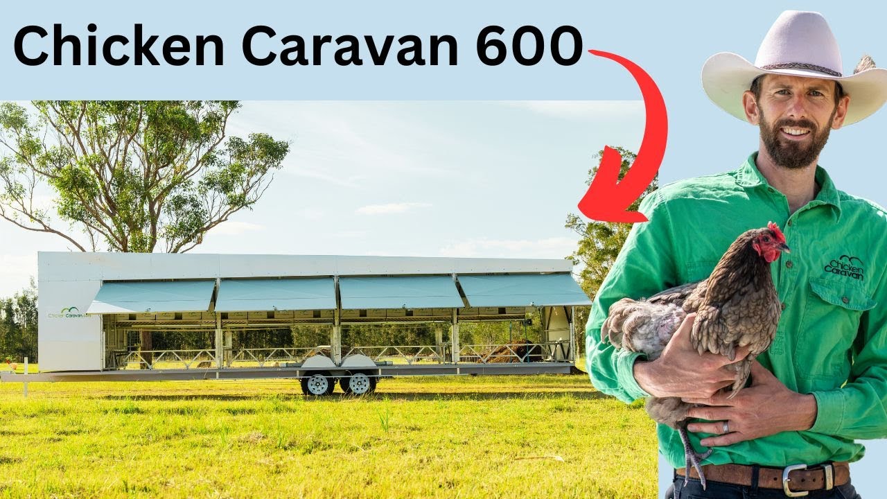 Chicken Caravan 600 - YouTube