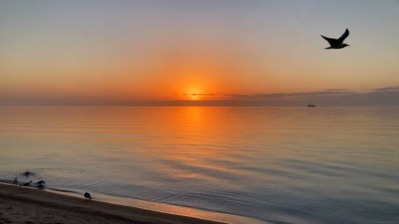 Sunrise Ocean Soundscape || North Beach in Corpus Christi, Texas - YouTube