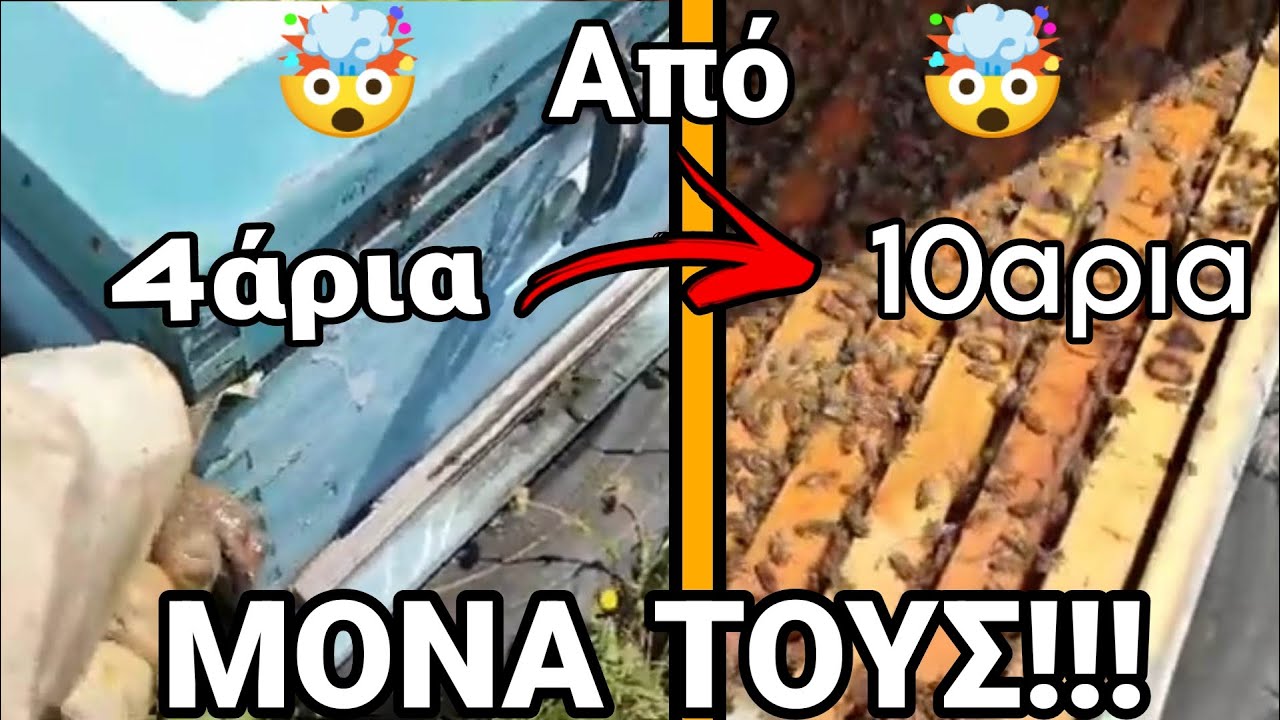 ΑΠΙΣΤΕΥΤΟ! Πήγα στα Μελίσσια μετά από 4ΜΗΝΕΣ!Δες! Τα καλά της Στατικής ...