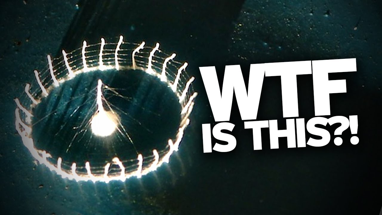 WTF IS THIS?!?!? - YouTube