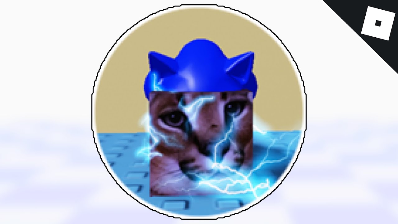 How to get the SONIC FLOPPA BADGE & MORPH in FIND THE FLOPPA MORPHS ...