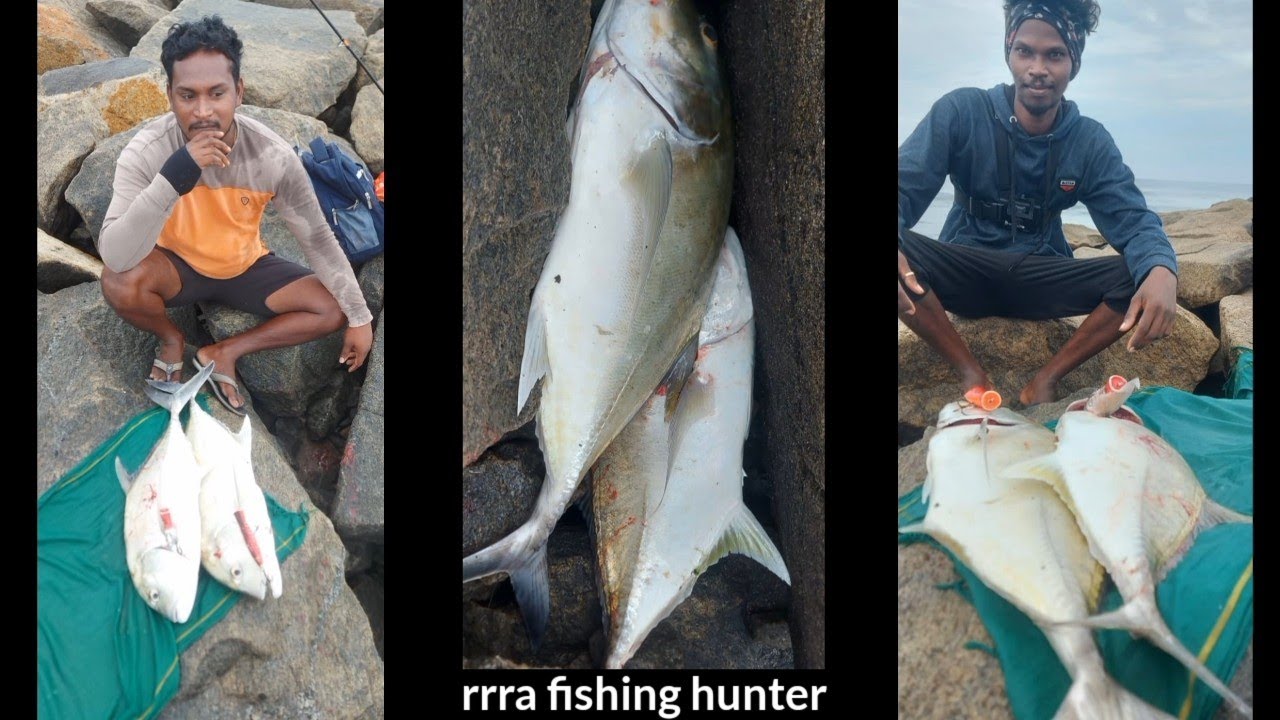மிகப் பெரிய மீன் வேட்டை🦈 Big monster fish catch!! - YouTube