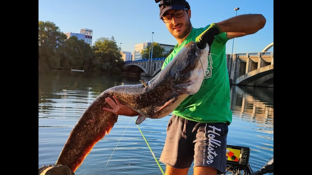 PECHE du SILURE en BATEAU à la VERTICALE sur le RHONE // ON LES ...