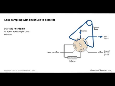 Cheminert loop sampling with backflush to detector - YouTube