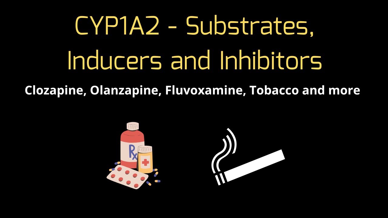 CYP1A2 - Substrates, Inducers and Inhibitors: Clozapine, Olanzapine ...