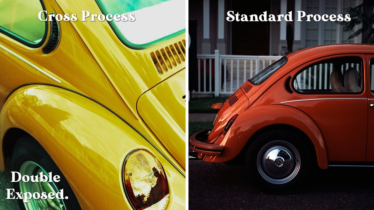 Slide film - cross process vs standard e6 process | Photo walk with ...