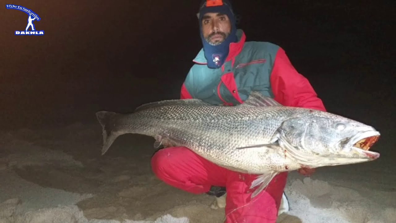 Dakhla pêche courbine 24 kg avec Rayss Sbaii Abdalilahe - YouTube
