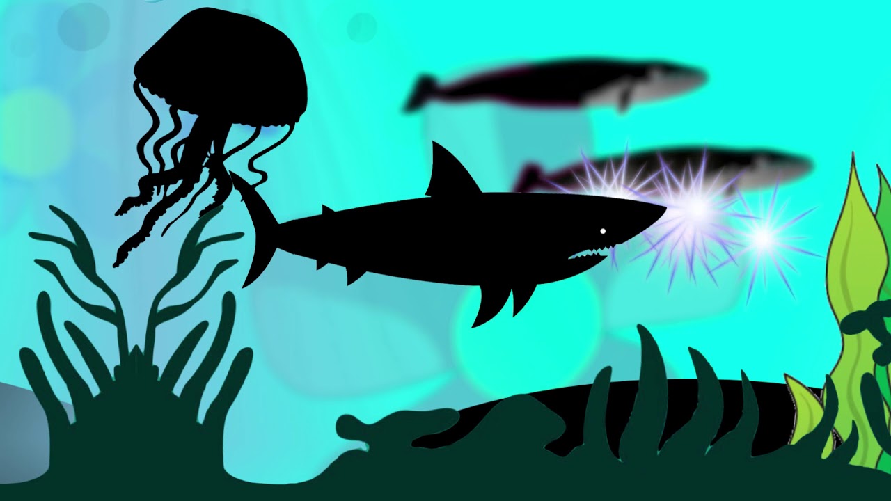 [Animation/Motion Graphics] The Shark Animated Video - YouTube