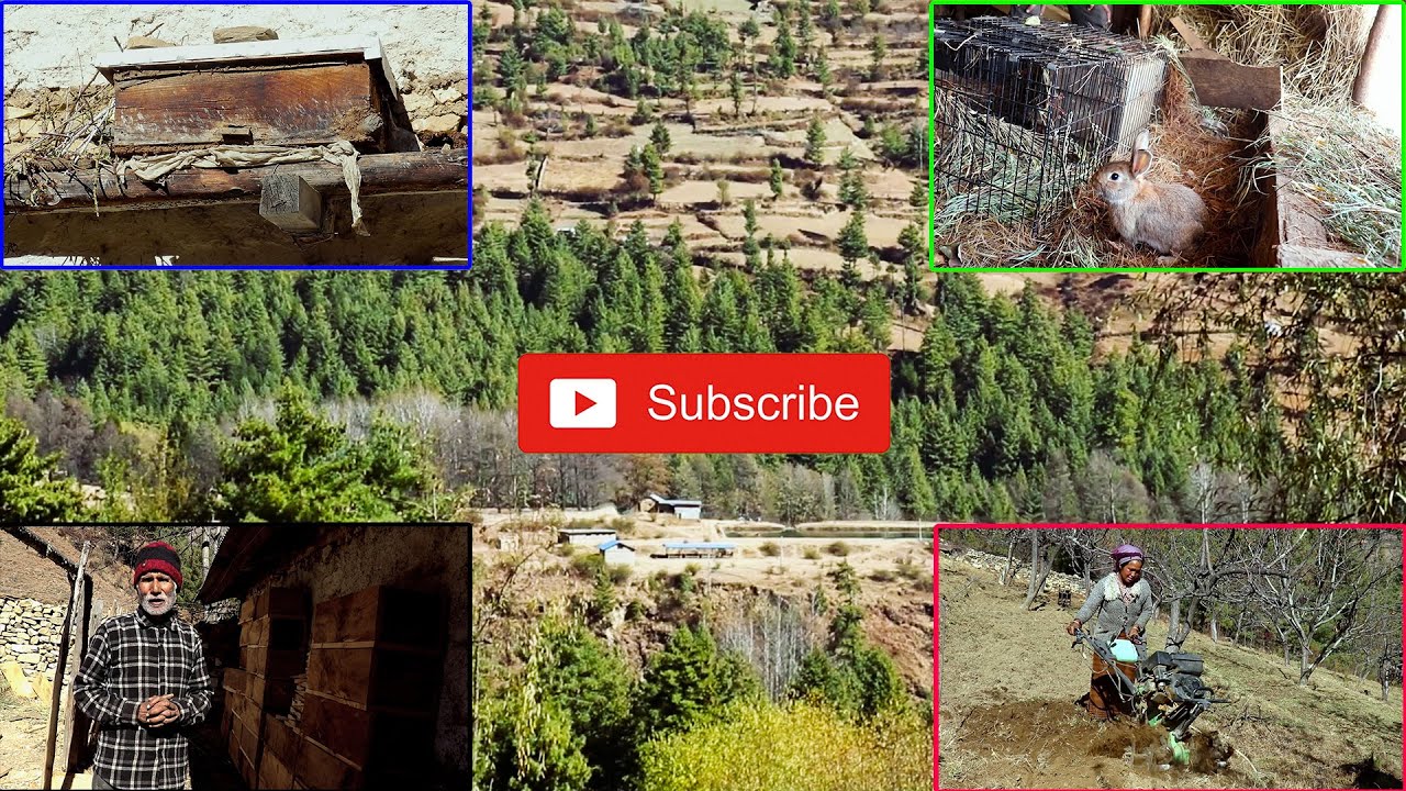 Bee farming in rural Karnali Nepal - YouTube