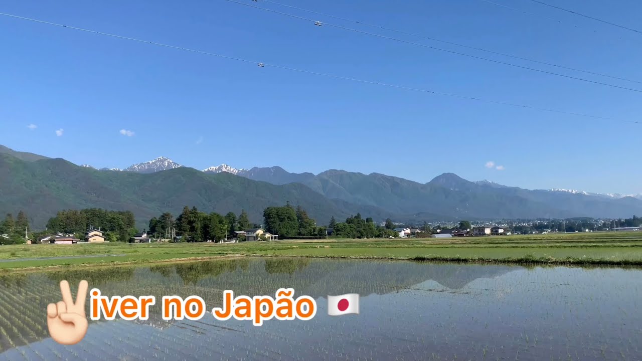 Caminhando, o que encontrei pelas ruas do Japão 🇯🇵 - YouTube