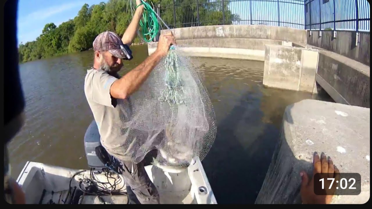 Caenarvon Gaspergou with M.Hood Fishing - YouTube