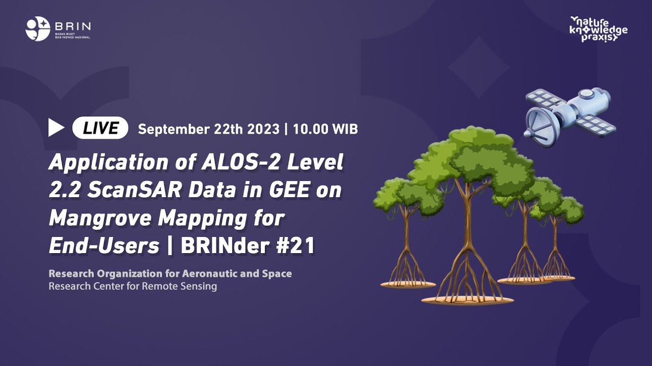 Application of ALOS-2 Level 2.2 ScanSAR Data in GEE on Mangrove Mapping ...