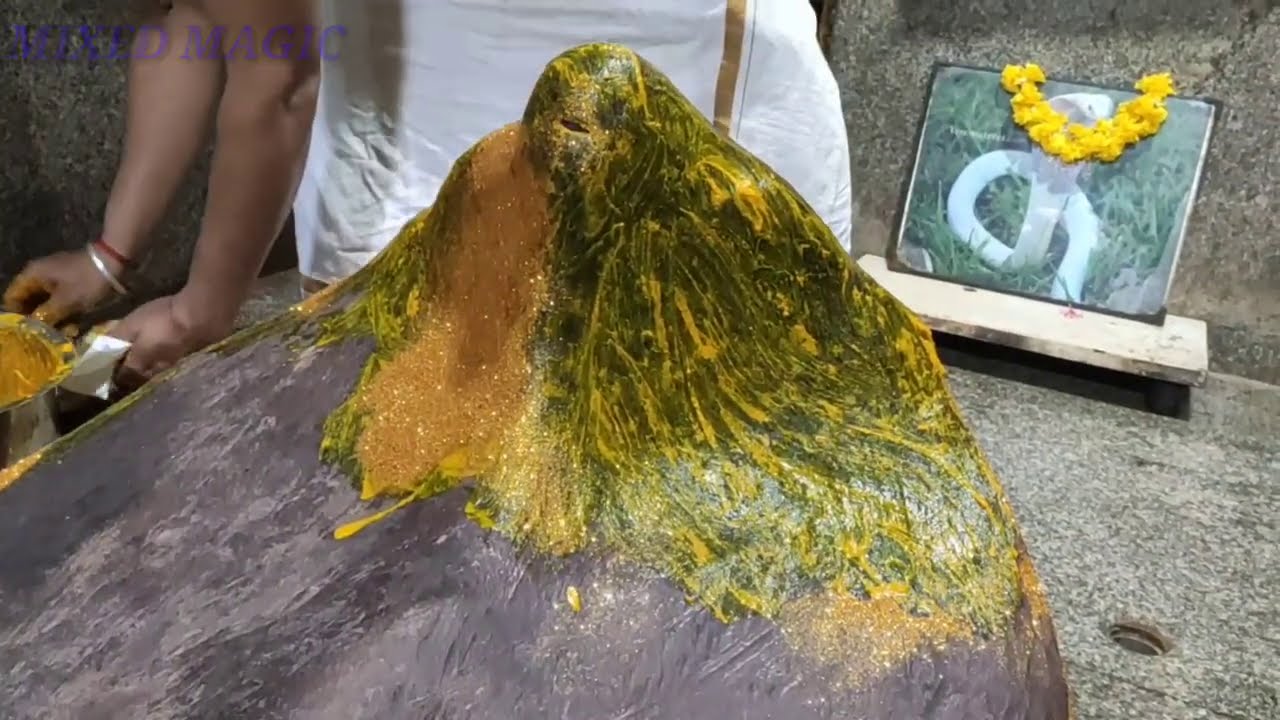 21 FEET NAGA ALANKARAM// SNAKE POOJA // SNAKE ALANGARAM // part-01 ...