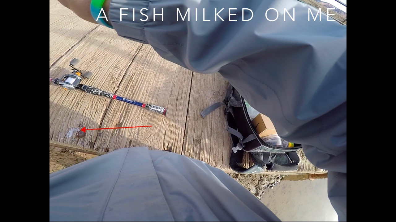 Fishing at Snooks Bottom - YouTube