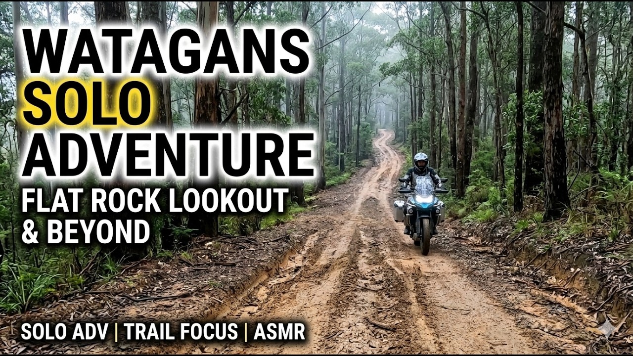 Adventure To Flat Rock Lookout & Through The Watagans State Forest Solo ...