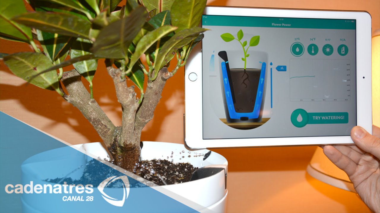 Maceta inteligente Parrot pot / Tecnología con Wikichava - YouTube