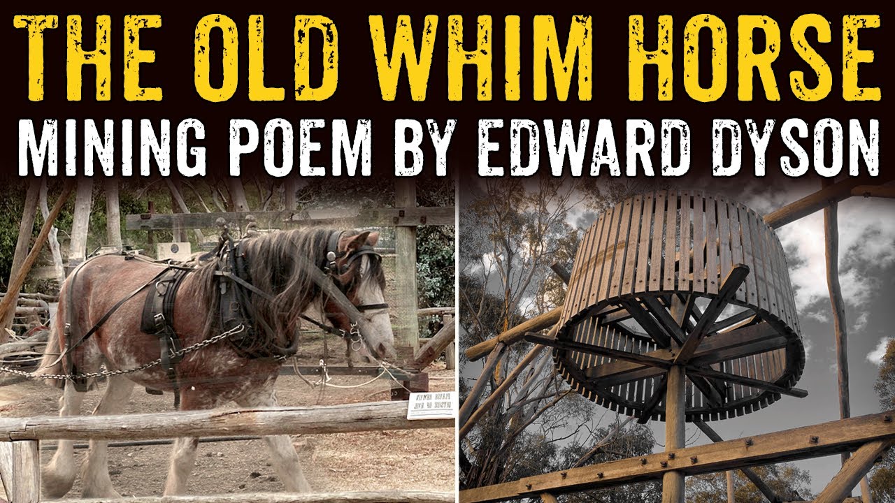 The Old Whim Horse by Edward Dyson - YouTube
