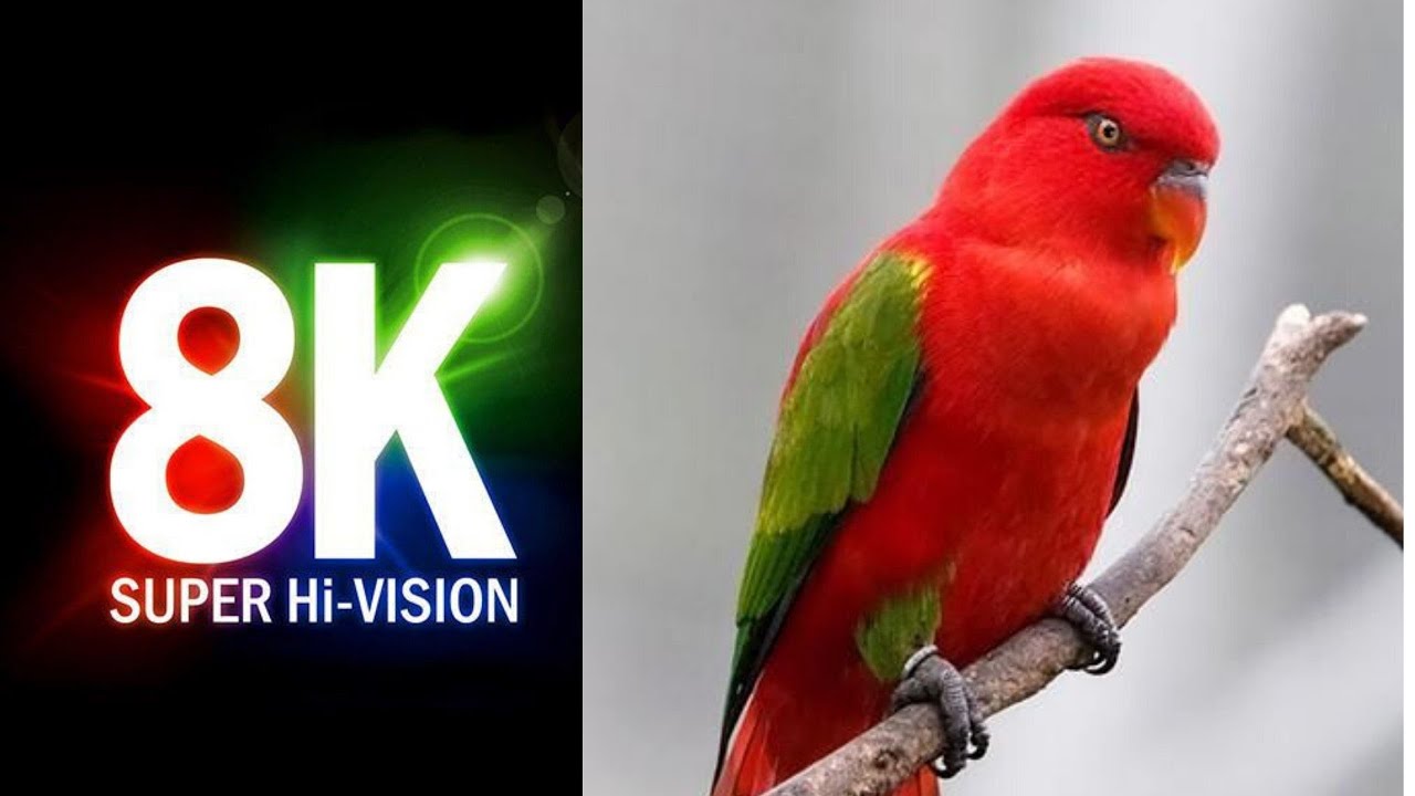 #2 CalmMusic Super hi vision - YouTube