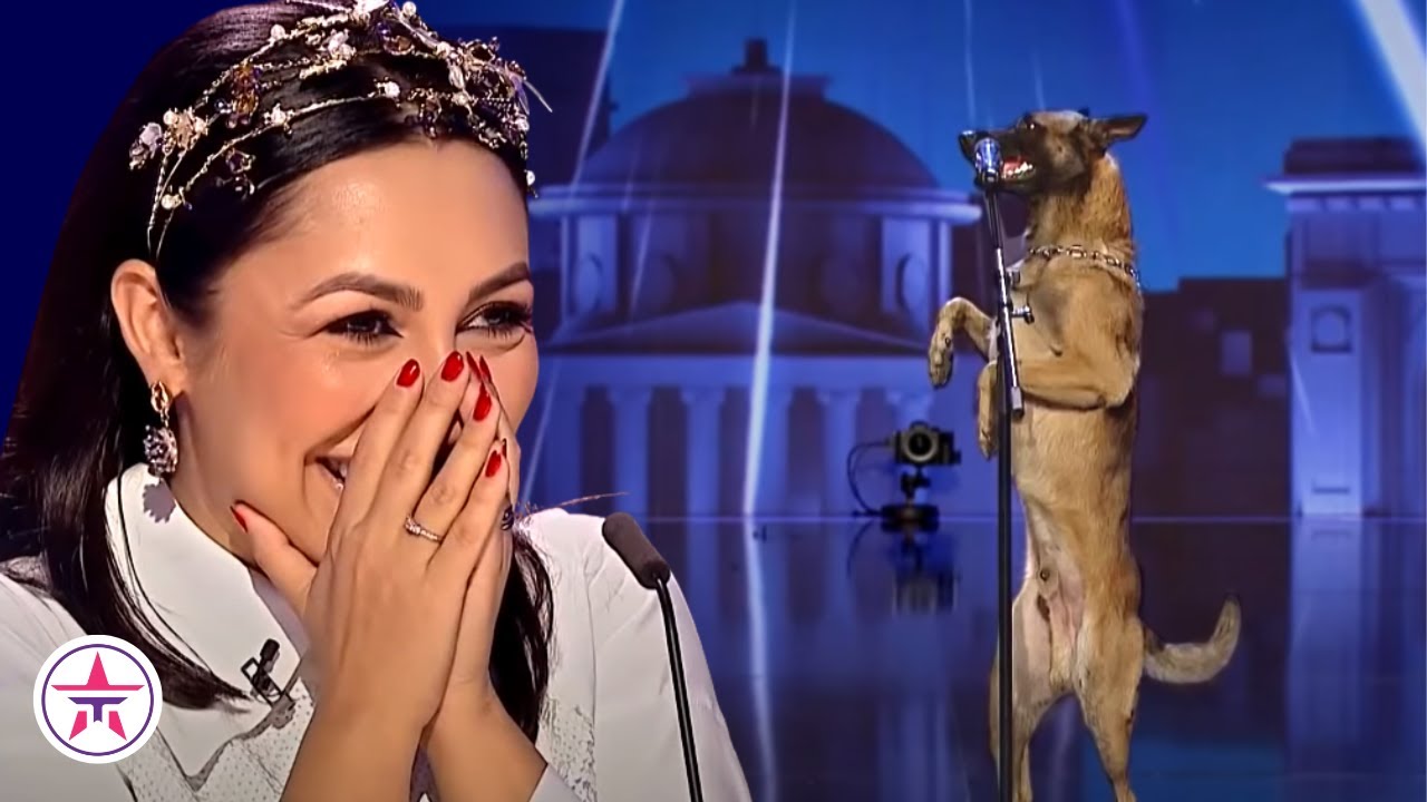 Talented Dog Goes Viral For UNBELIEVABLE Breath Control on Romania's ...