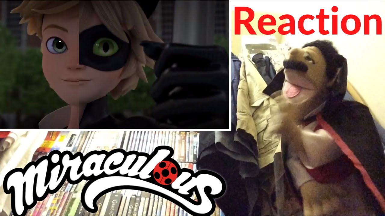 Miraculous Ladybug 100th Episode Ephemeral Official Trailer Reaction ...