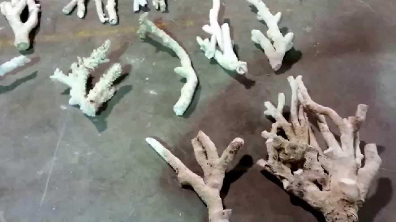 What Is A Dry Reef at Anthony Brunet blog