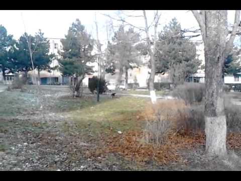 21 dhjetor 2012 kur njerriu u fsheh besniket e tij filluan te fitonin teritore.........