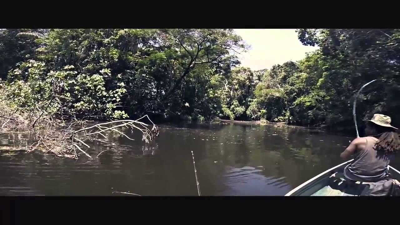 Lure Fishing in French Guiana Tarpons of the Malmanoury river - YouTube