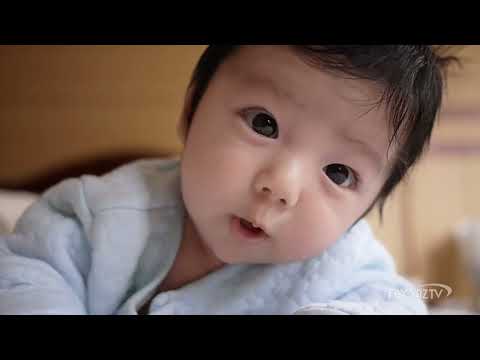 Yaratılış Mucizesi 🐝🍯 Petekler Neden Altı Gendir