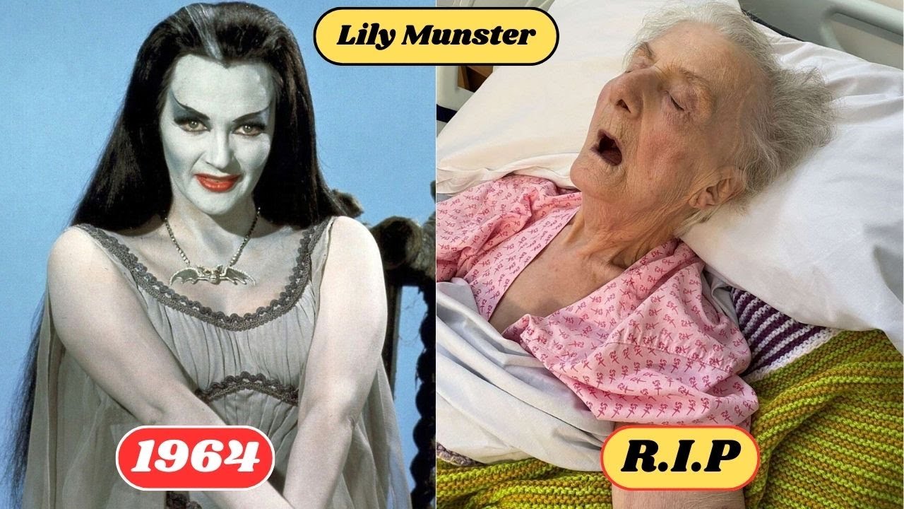 The Munsters (1964) Cast Then and Now 2024 | Real Name and Age 2024 ...