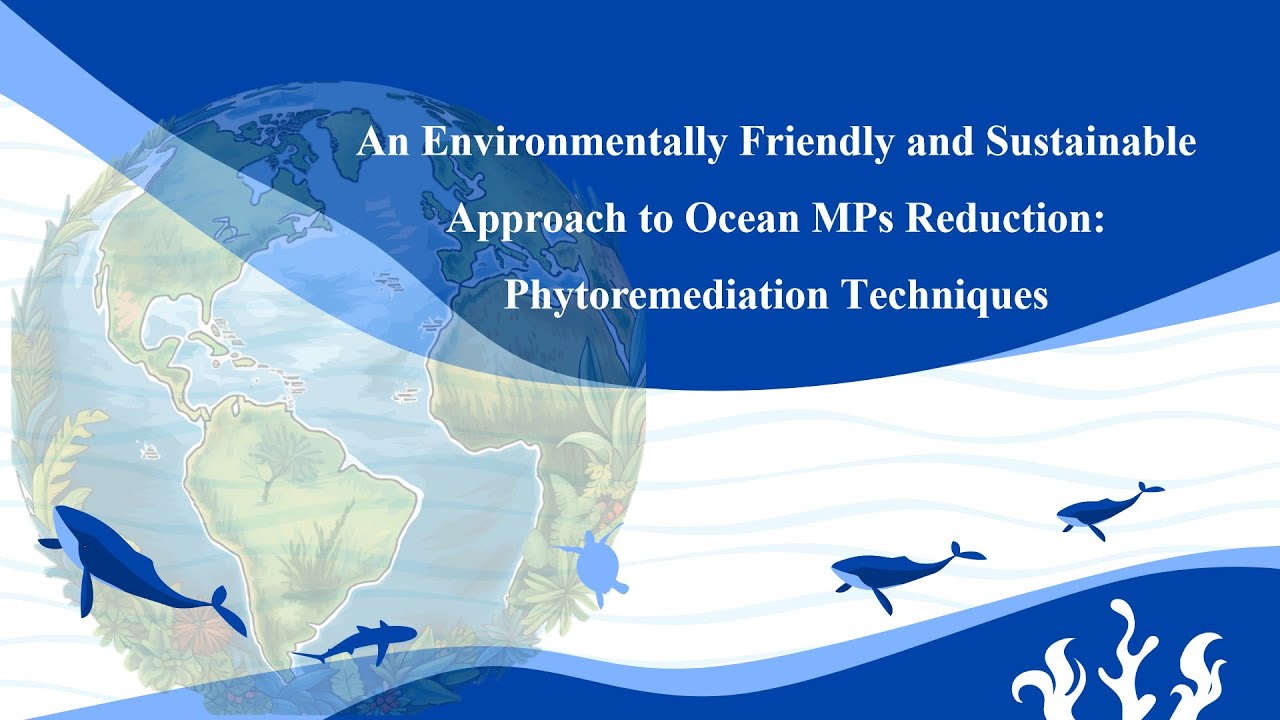 An Environmentally Friendly Approach to Ocean MPs Reduction ...