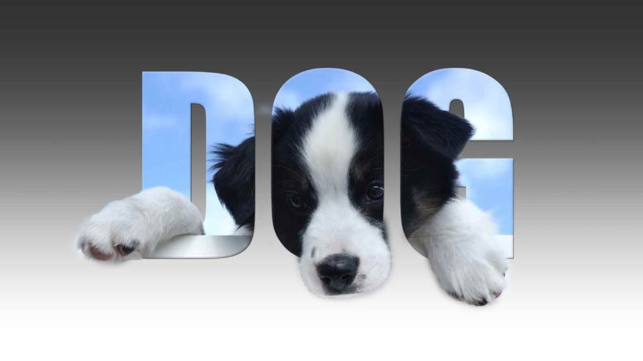 How to place Images Inside Text | Photoshop Tutorial - YouTube